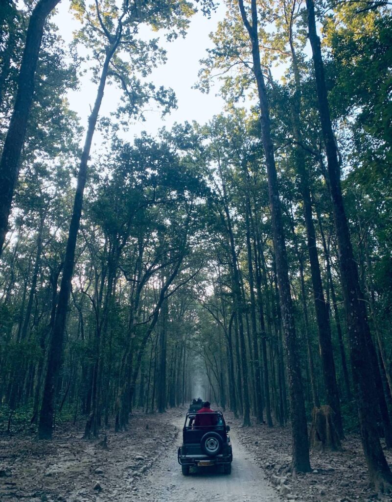 Jim Corbett Tour Package - The Trippers